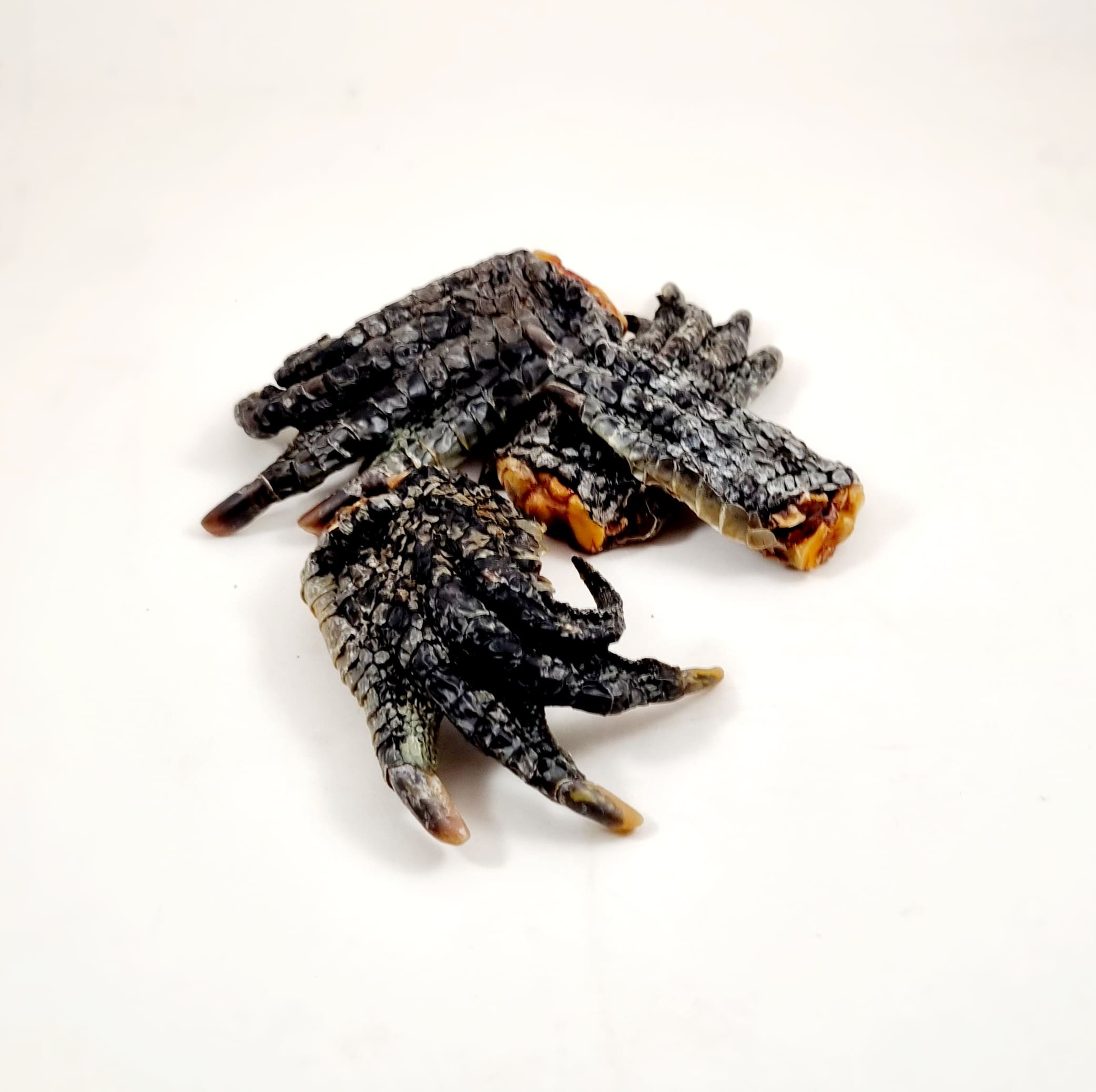 Croc Claws - Sassy Treats